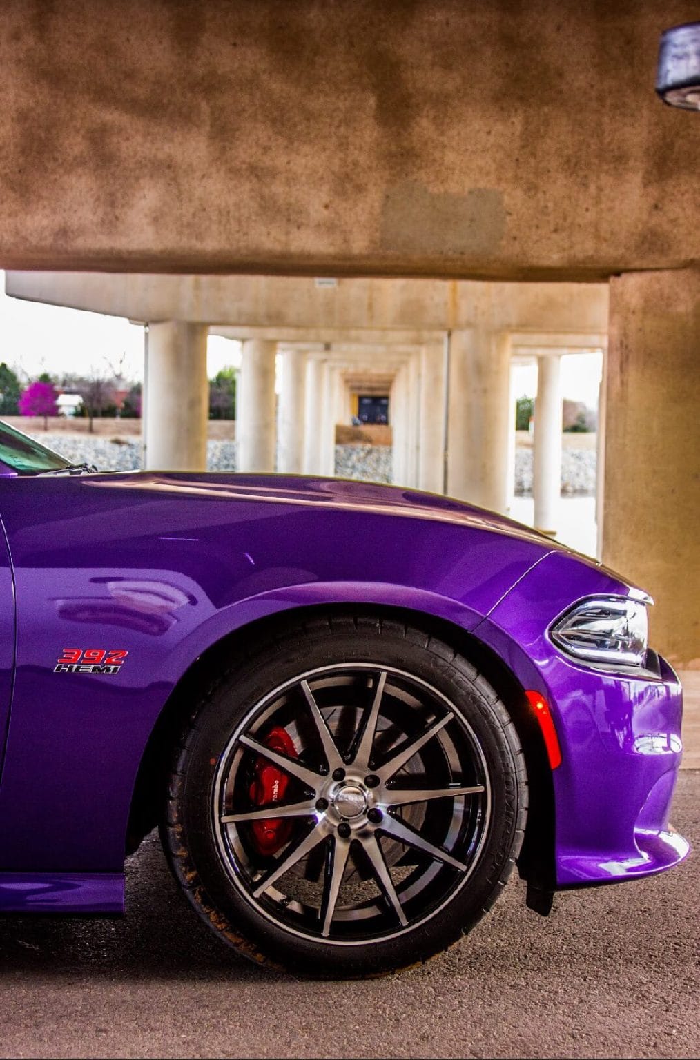 Dodge Charger SRT Named Violet Protected With Dr. Beasley's