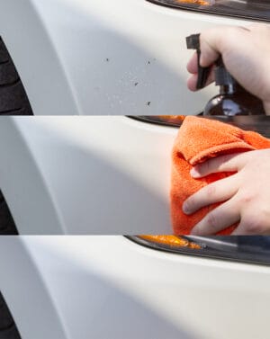 Bug Barrier | Dr. Beasley's