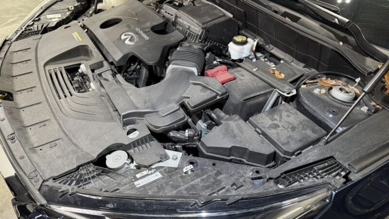 How to Clean an Engine Bay | Dr. Beasley's